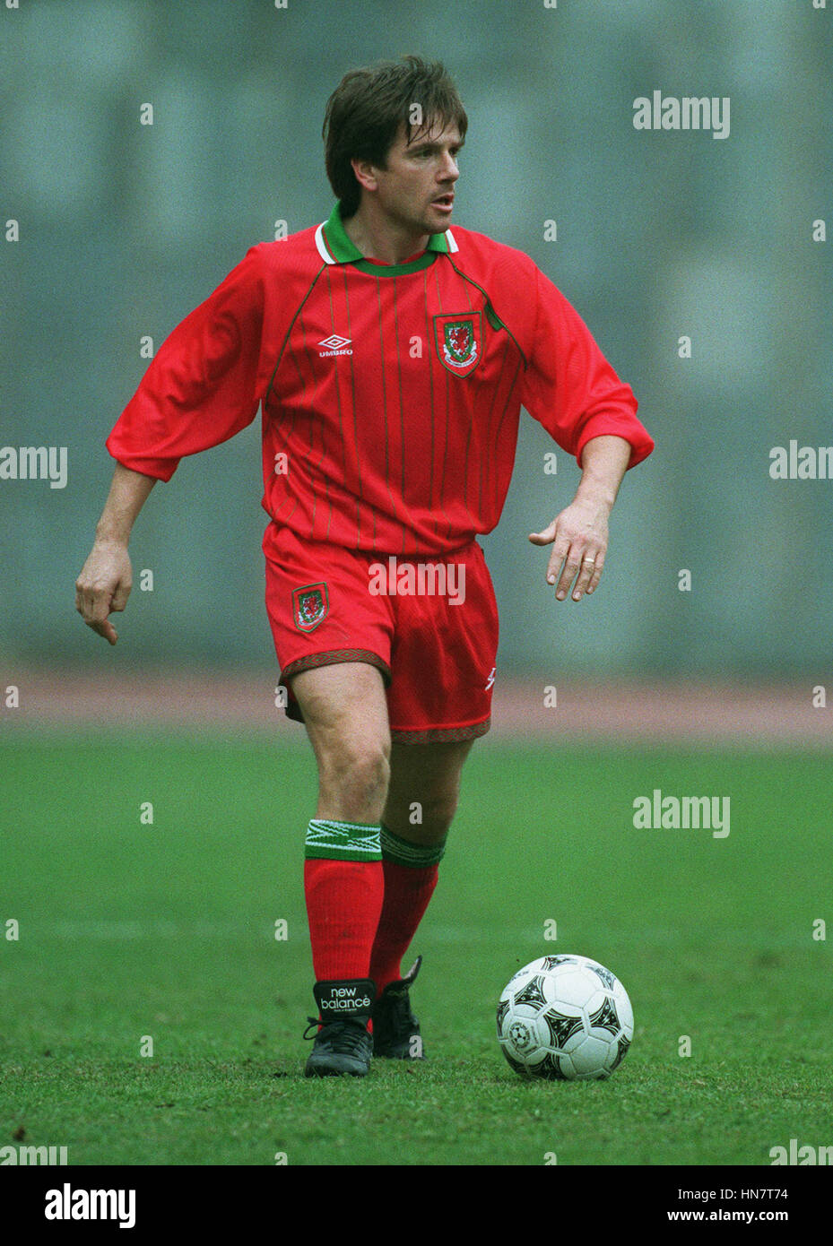 David phillips forest hi-res stock photography and images - Alamy