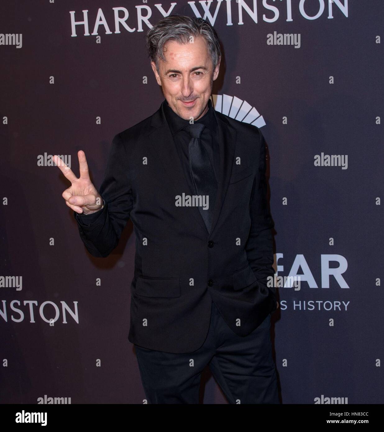 New York, NY, USA. 8th Feb, 2017. Alan Cumming at arrivals for 19th ...