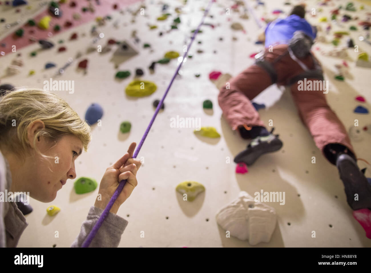 Blindenhund hi-res stock photography and images - Alamy