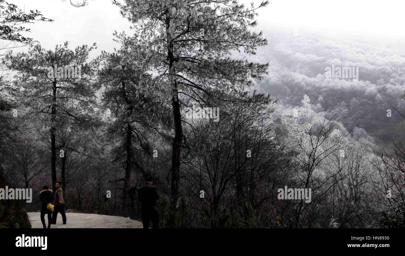 Ji'an, China. 9th Feb, 2017. Rime scenery of Jinggang Mountain in Ji'an ...