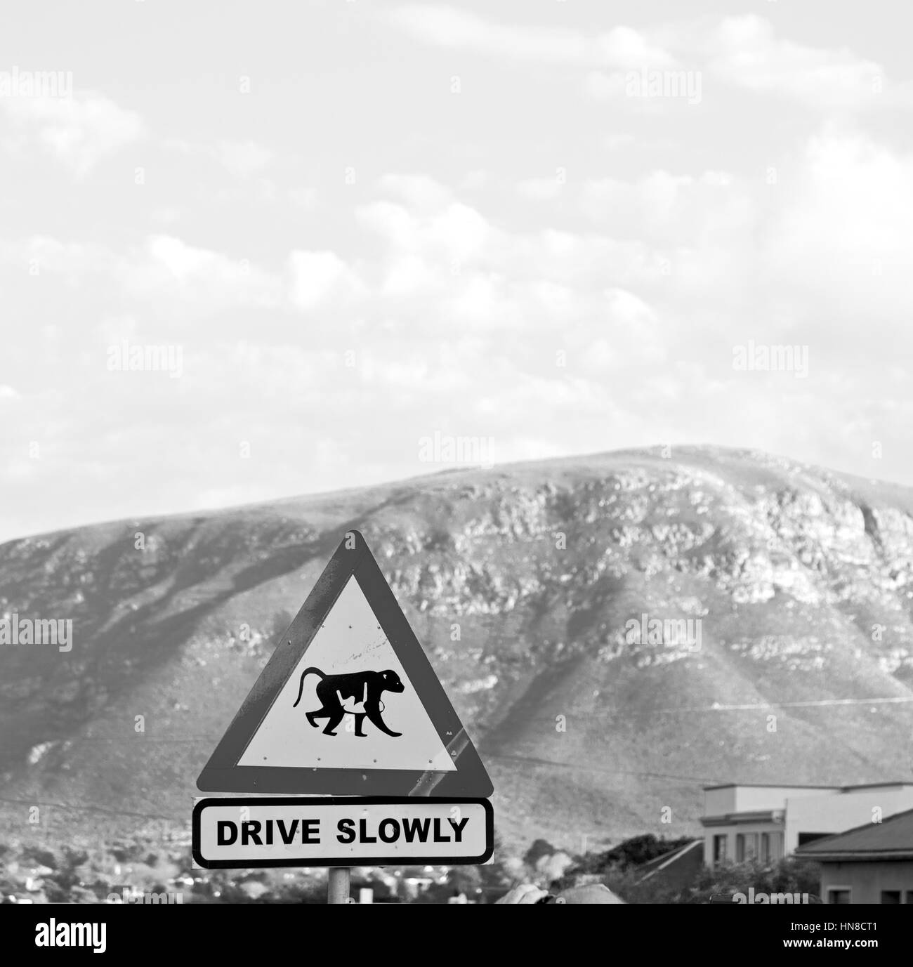 blur in south africa close up of the sign symbol like texture ...