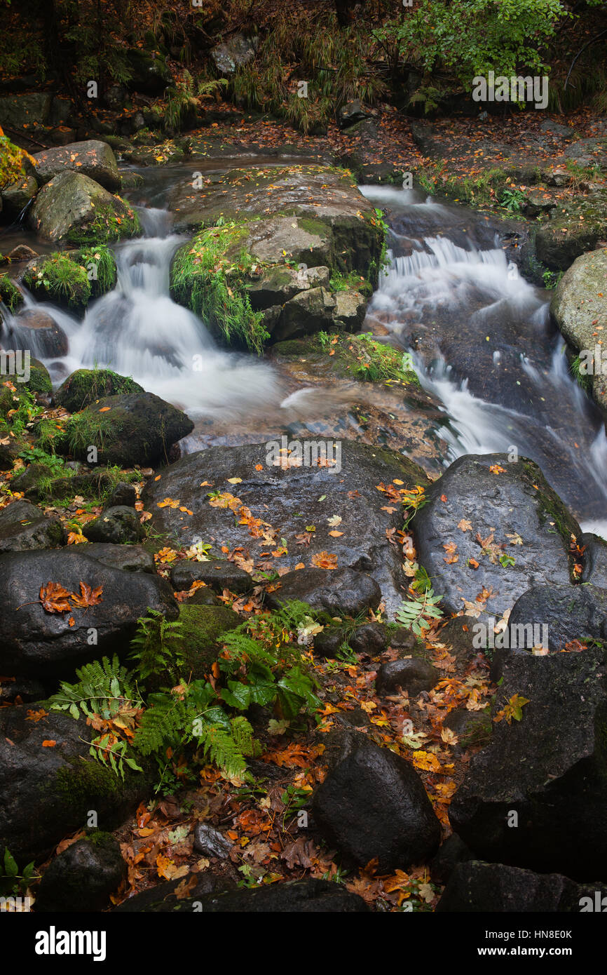 Autumn stream with boulders and fallen leaves Stock Photo - Alamy
