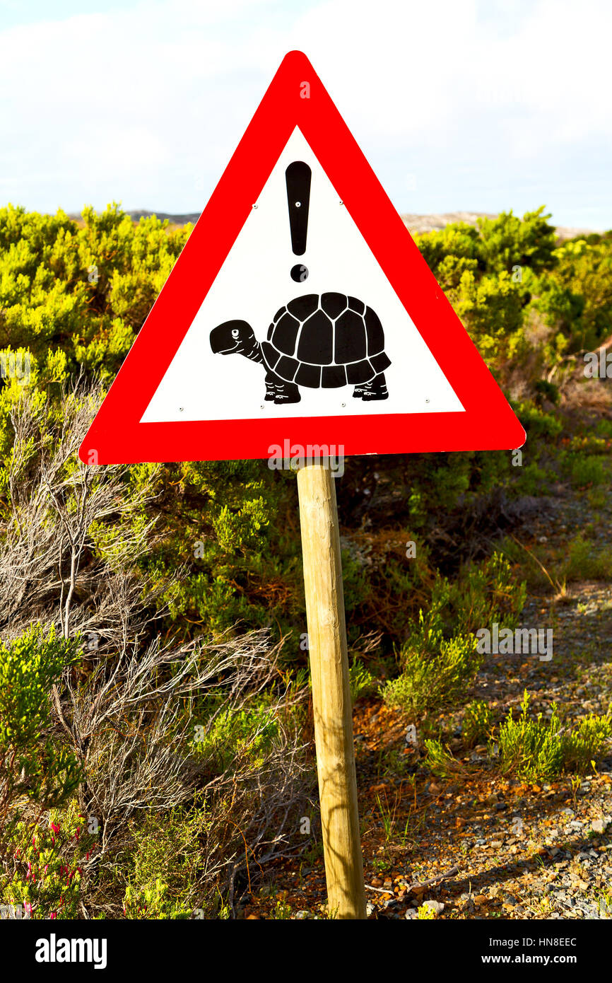 Tortoise warning road sign hi-res stock photography and images - Alamy