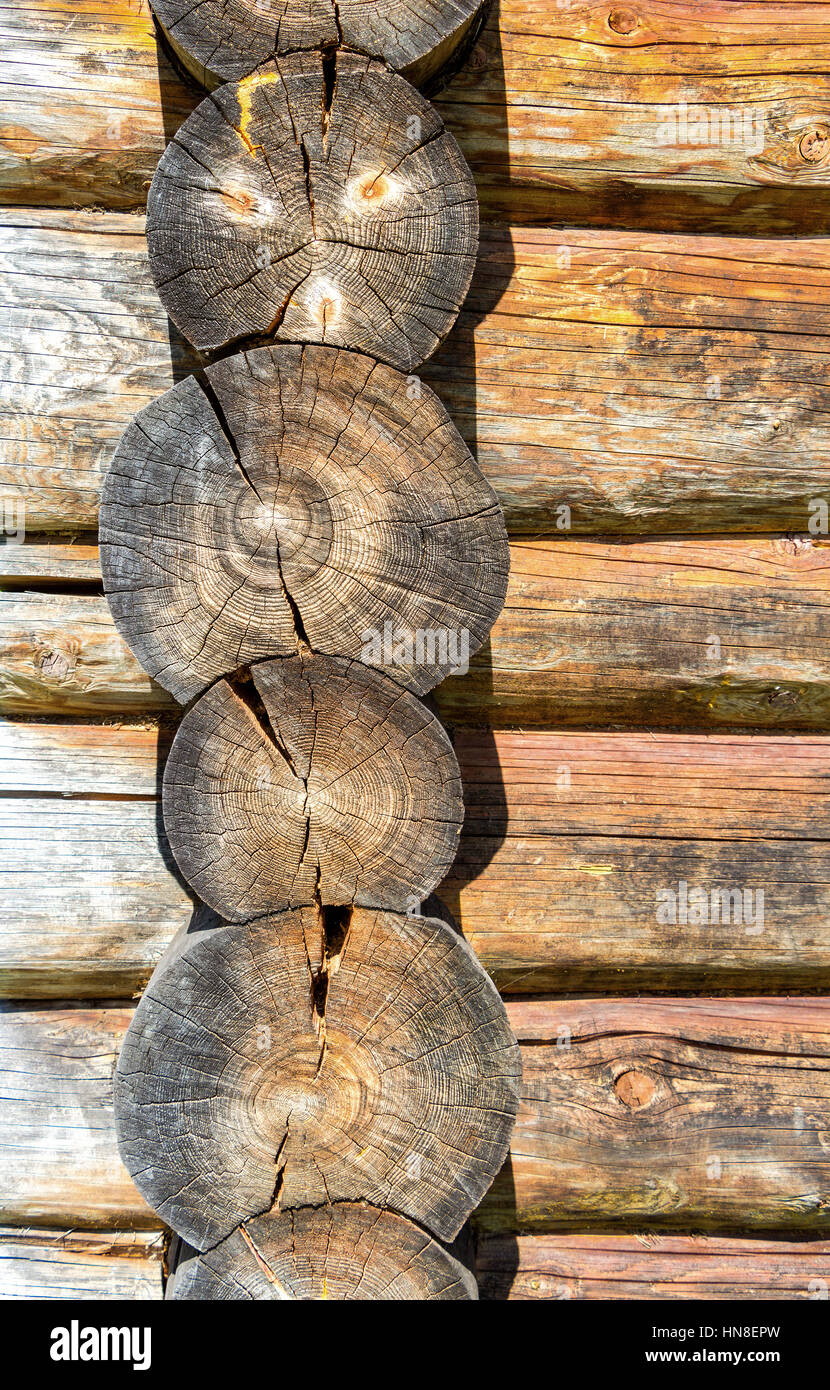Old weathered and rotten log end rings cross section from wooden house ...