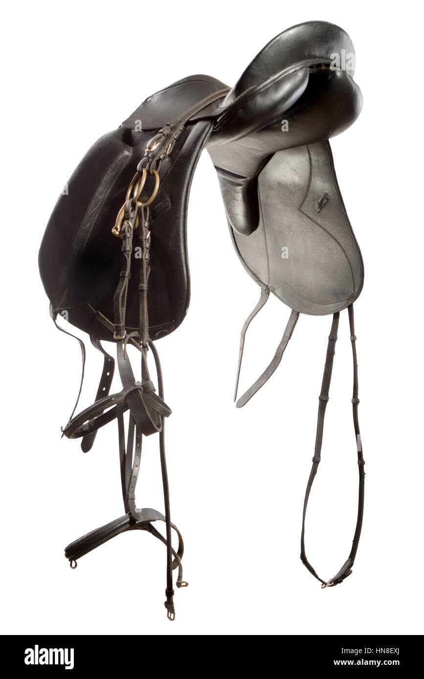 Brown horse saddle harness Cut Out Stock Images & Pictures - Alamy
