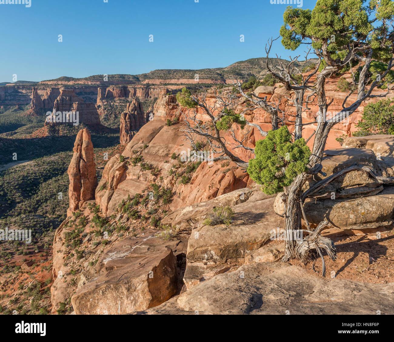 Sandstone monuments & formations. Colorado National Monument. USA Stock ...