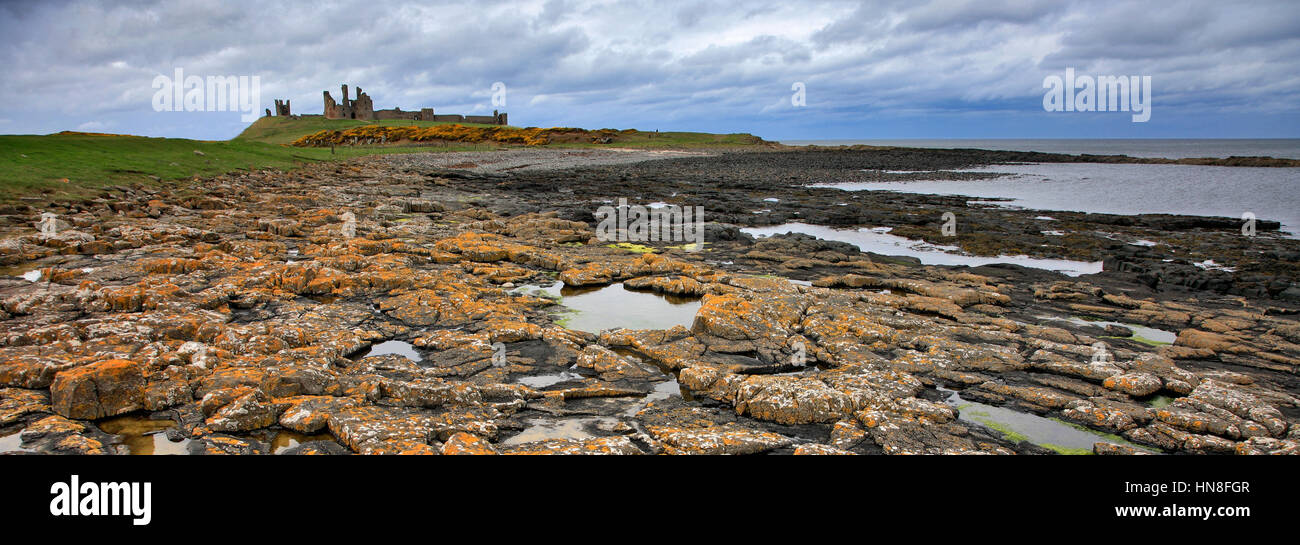 Summer blue skies, Dunstanburgh Castle, North Northumbrian Coast ...