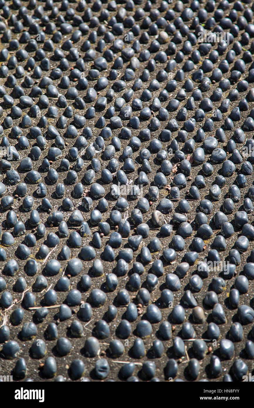 Pebbles in soil hi-res stock photography and images - Alamy