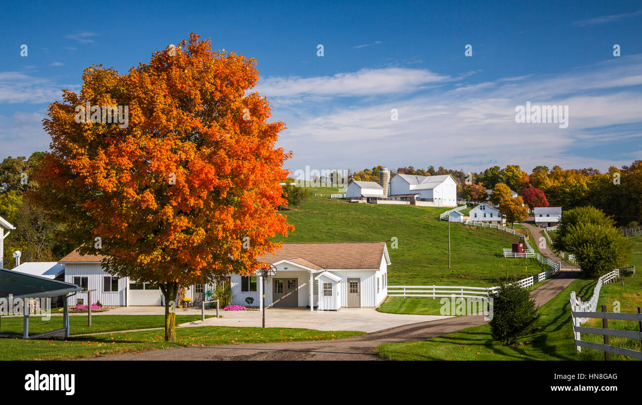 An Amish farm with house and barn near Charm, Ohio, USA Stock Photo - Alamy