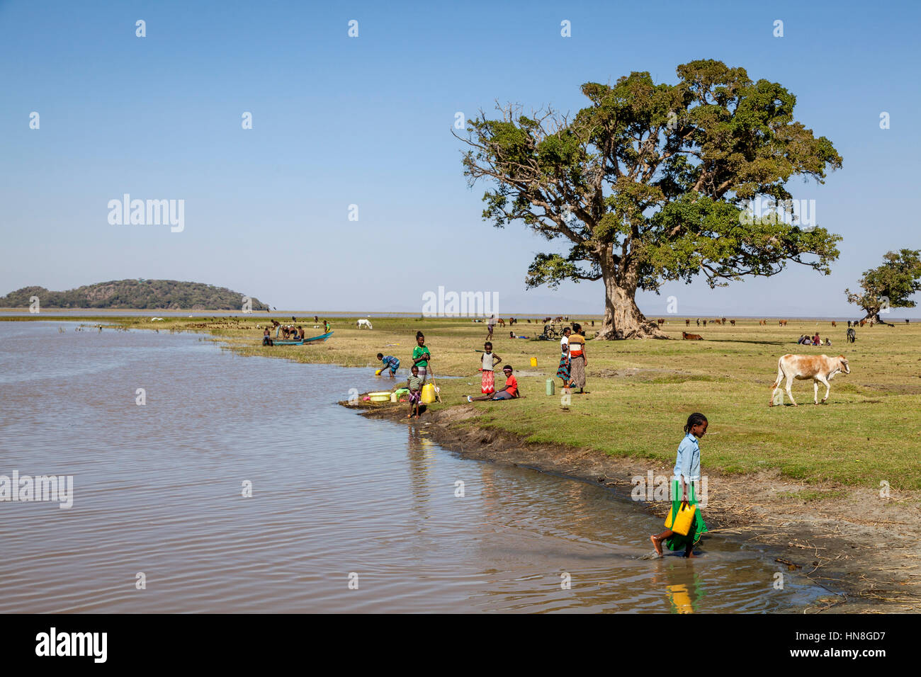 A Young Ethiopian Girl Collects Water From The Lake, Lake Ziway ...