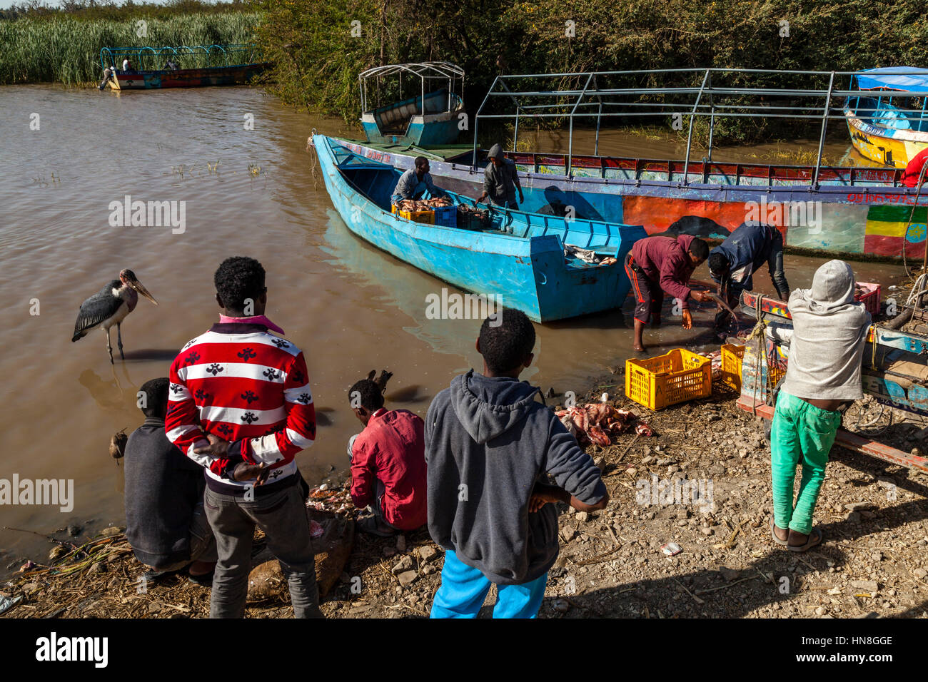 Ethiopia zway ziway africa hi-res stock photography and images - Alamy