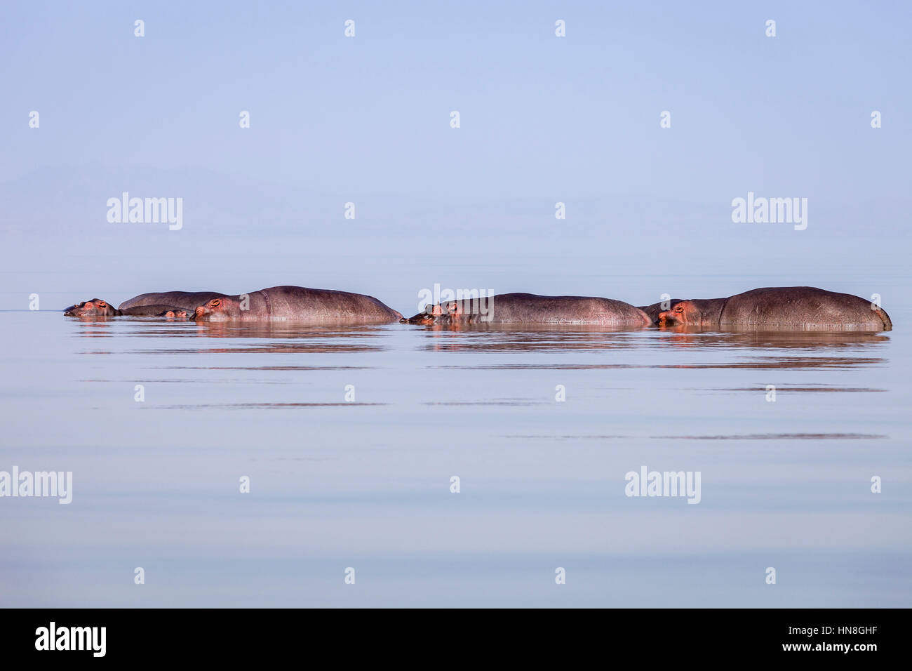 Ethiopian rift hi-res stock photography and images - Alamy