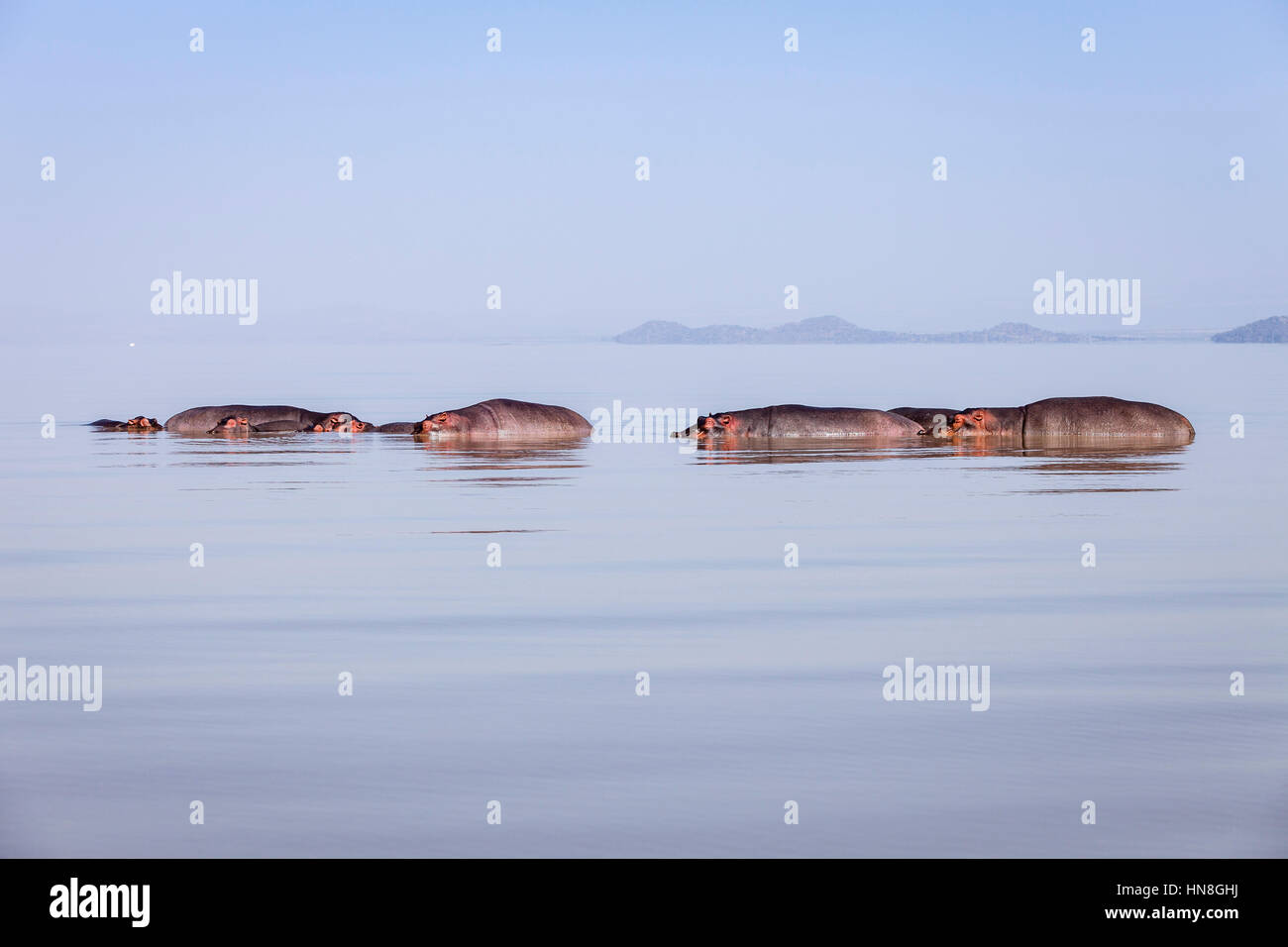 Ethiopian rift hi-res stock photography and images - Alamy