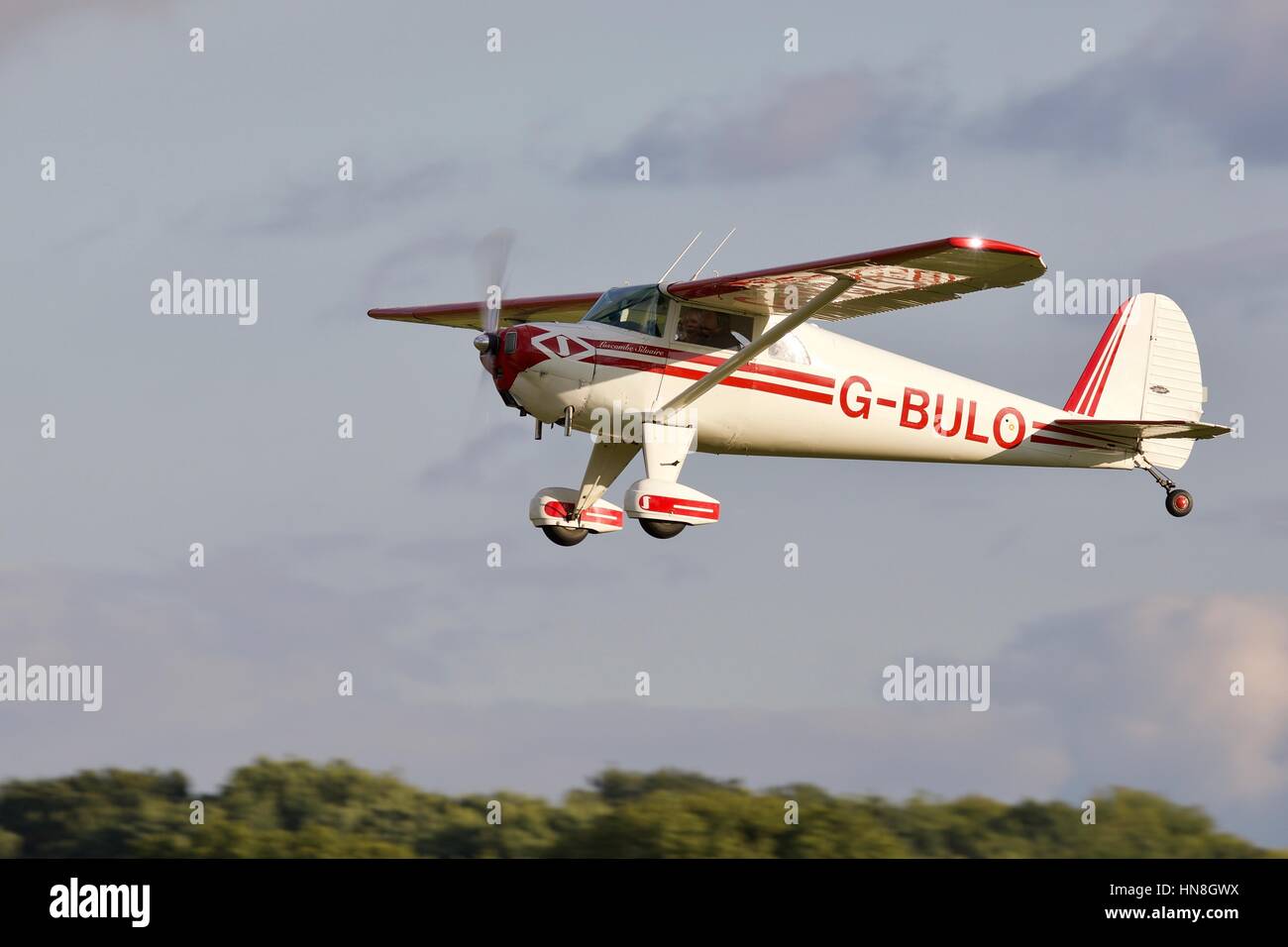 Luscombe aeroplane aircraft hi-res stock photography and images - Alamy