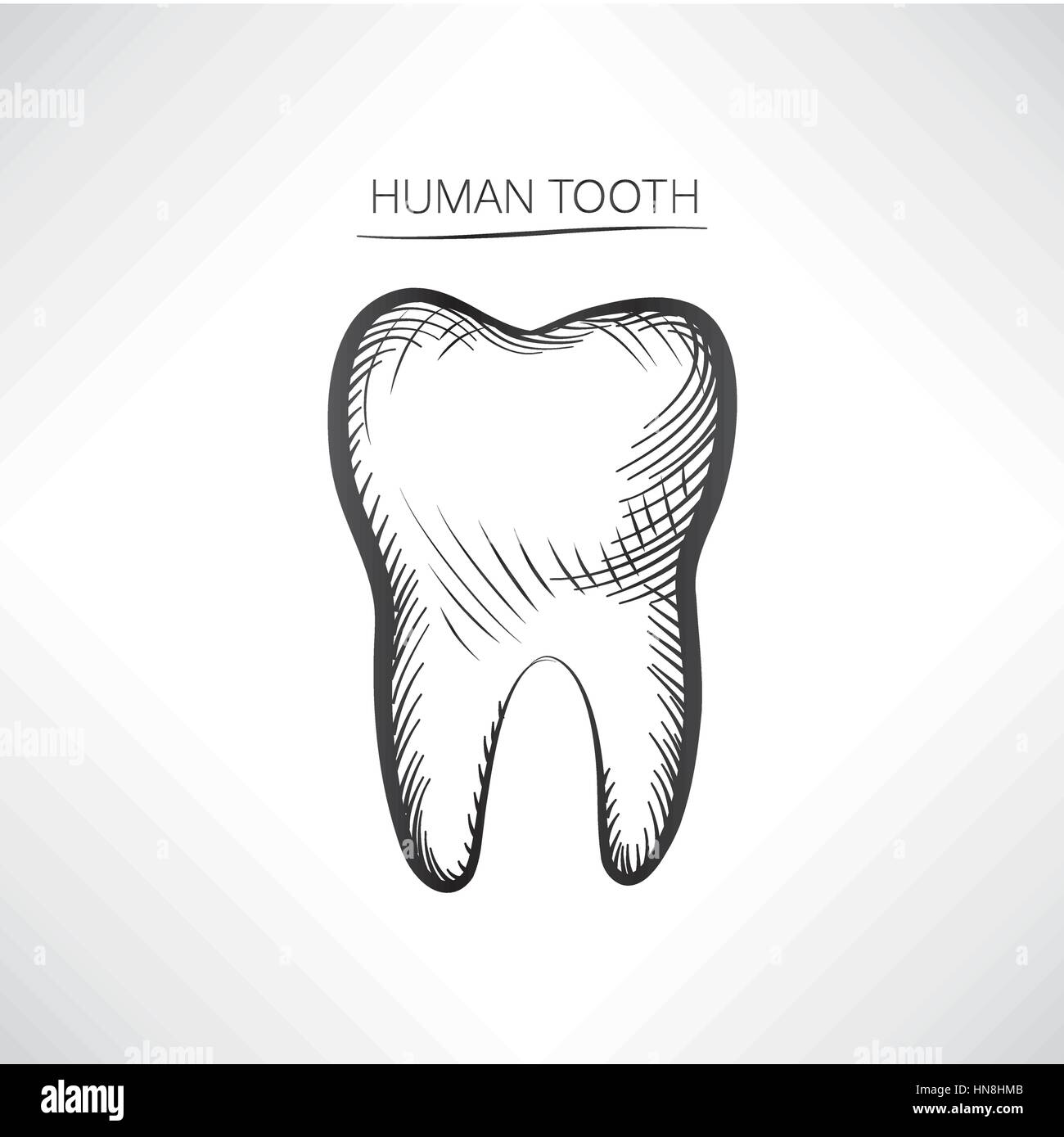 Tooth isolated. Tooth hand drawn sketch icon. Tooth symbol Stock Vector ...