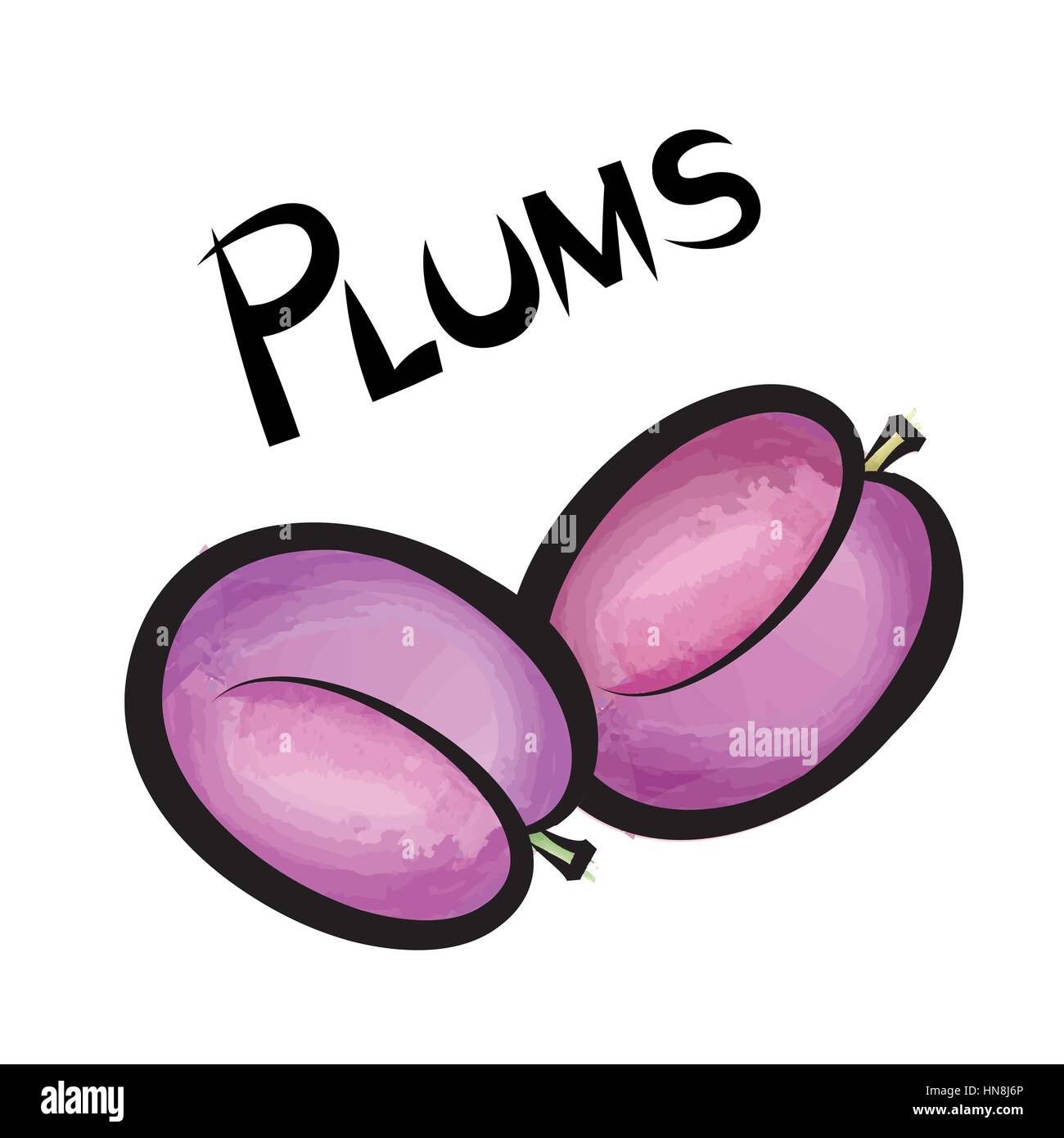 Pulms isolated. Plum fruit label design. Hand drawn watercolor berry ...