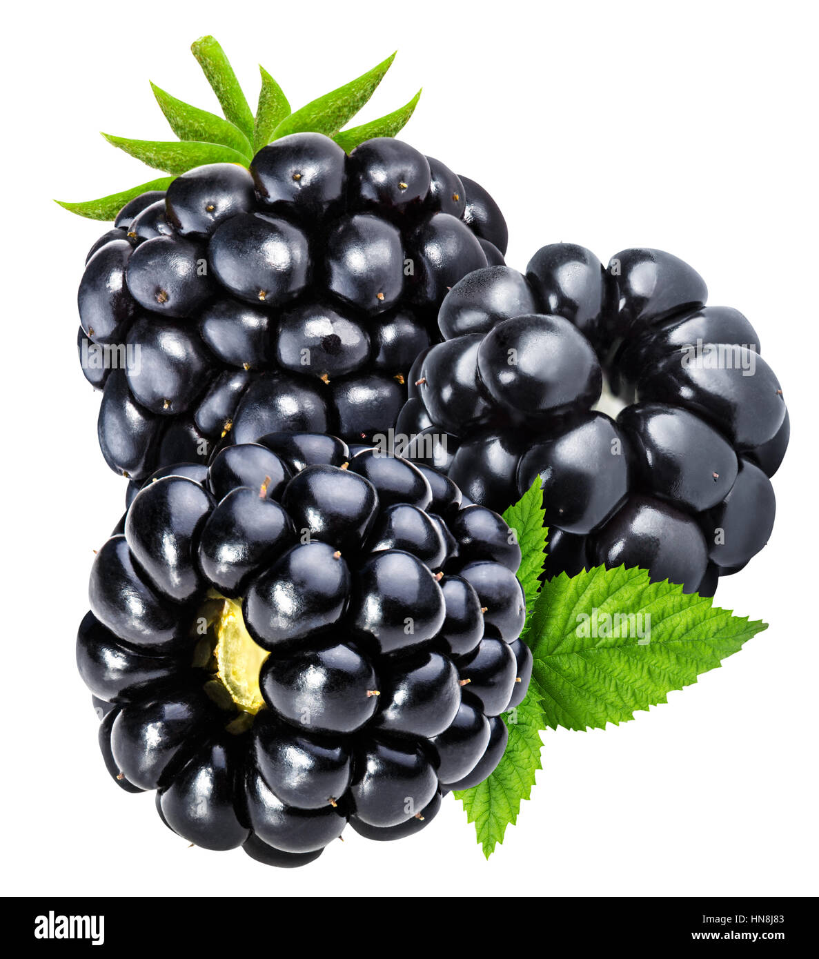 blackberries isolated on white background with clipping path Stock ...