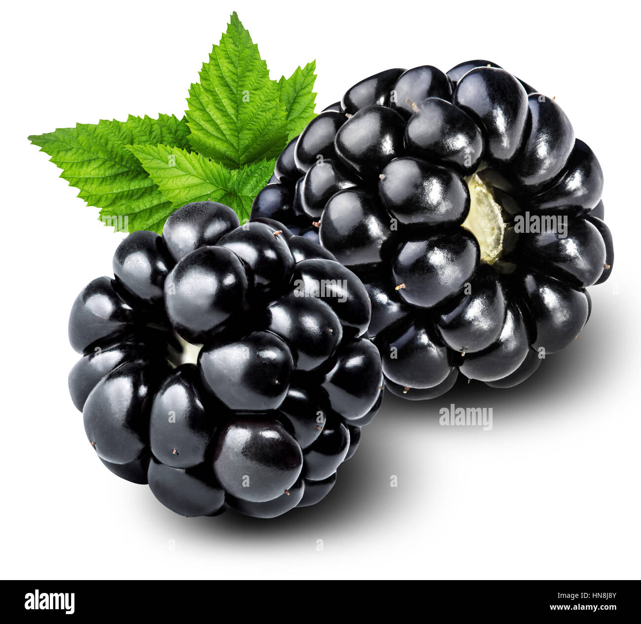 blackberries isolated on white background with clipping path Stock ...