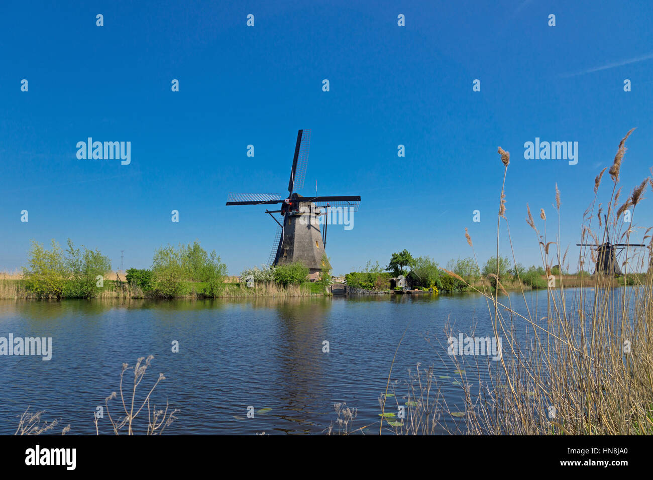 Historic Dutch windmills on the polders in Kinderdijk, South Holland ...
