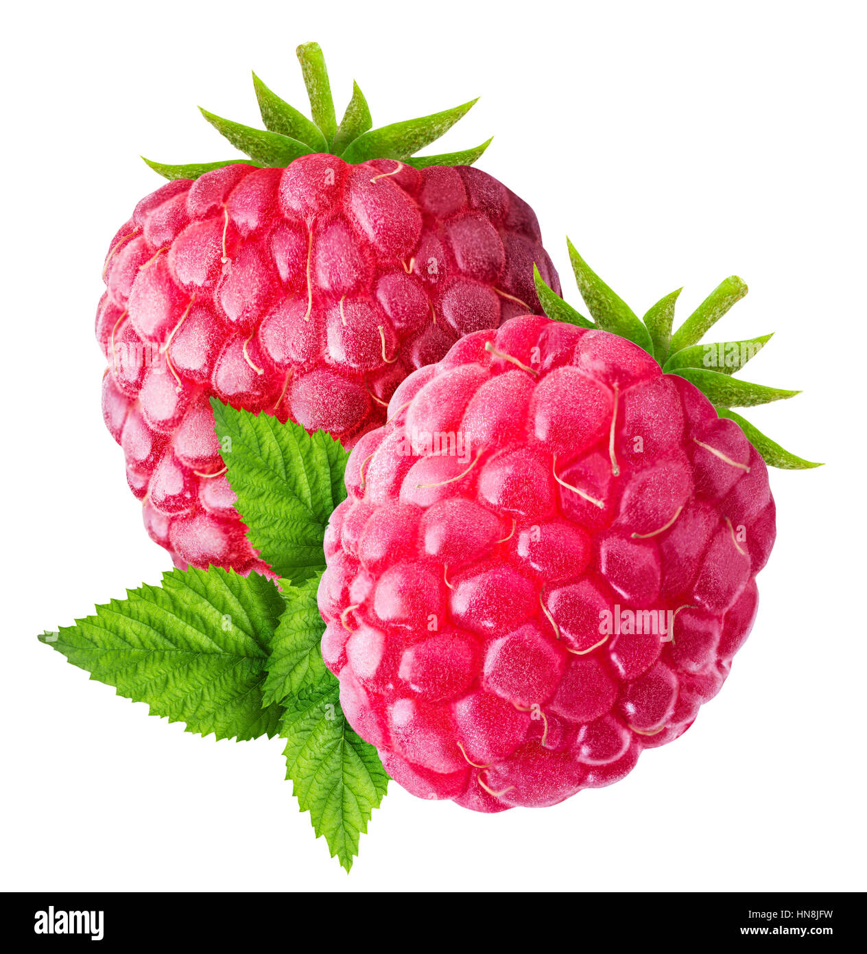 Raspberry purple Cut Out Stock Images & Pictures - Alamy