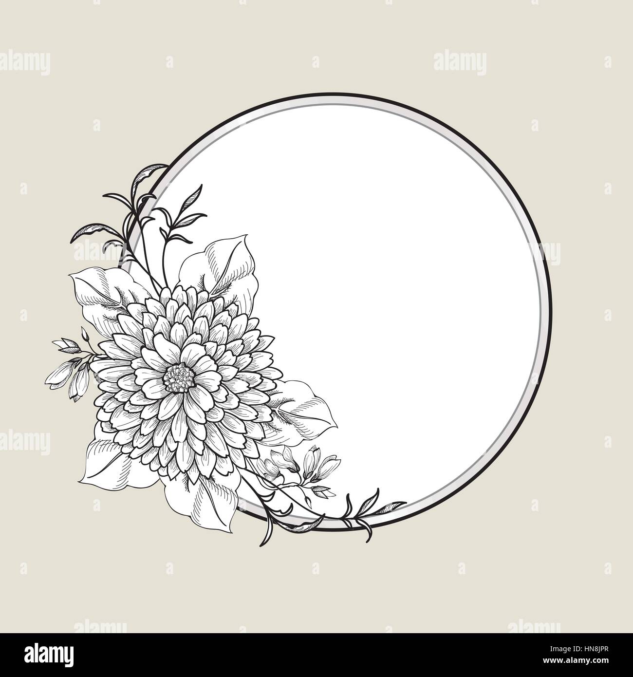 Elegant oval frame flourish Stock Vector Images - Alamy