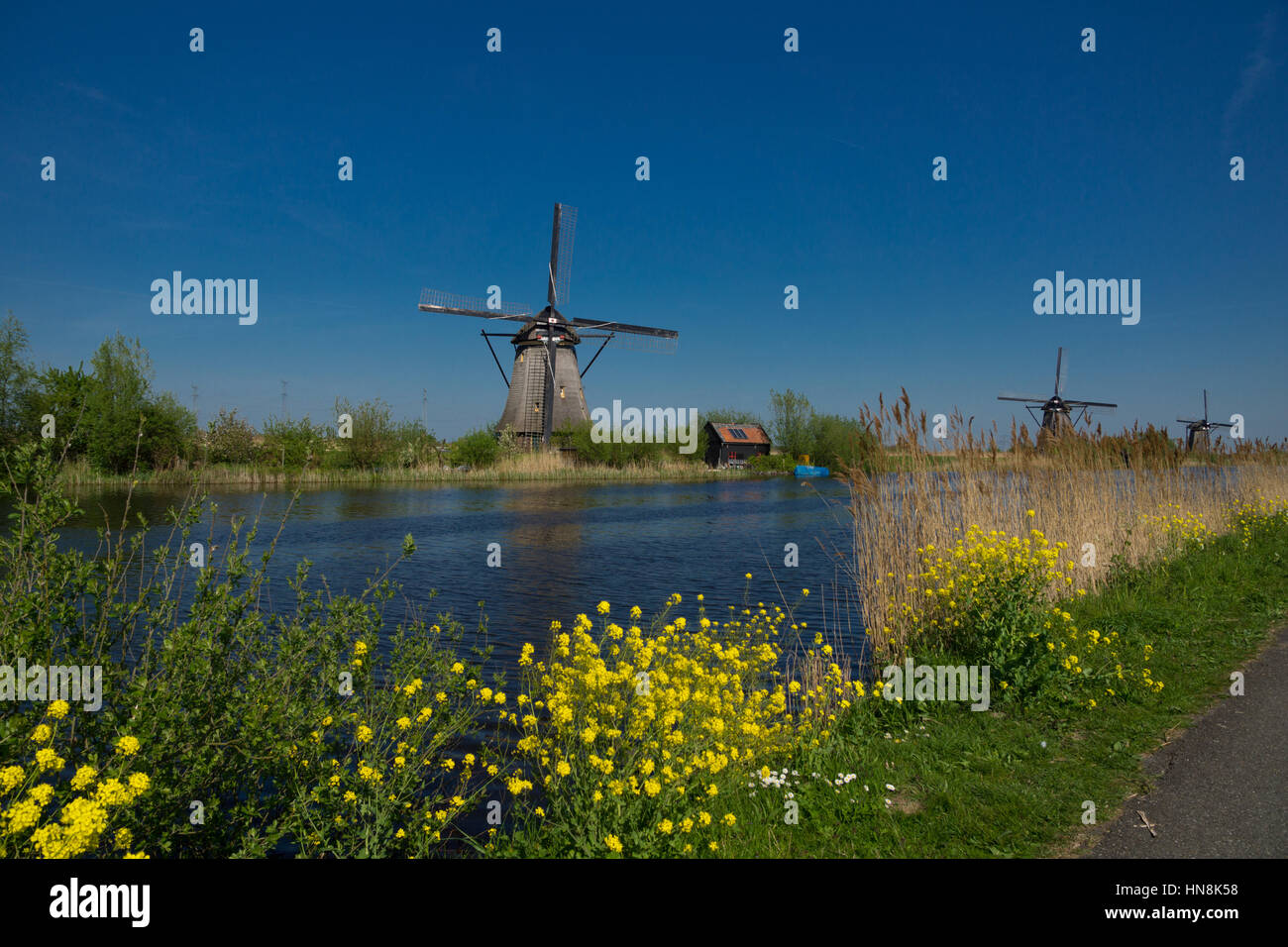 Historic Dutch windmills on the polders in Kinderdijk, South Holland ...