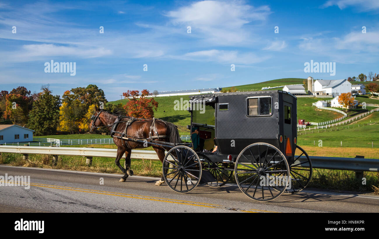 Amish horse and buggy in the countryside near Charm, Ohio, USA Stock ...