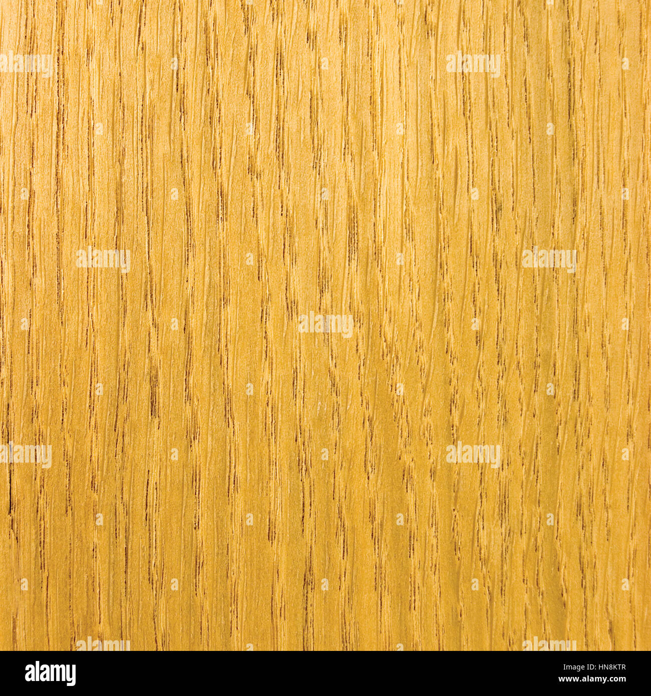 Bright Beige Oak Veneer Texture, detailed macro closeup, vertical ...