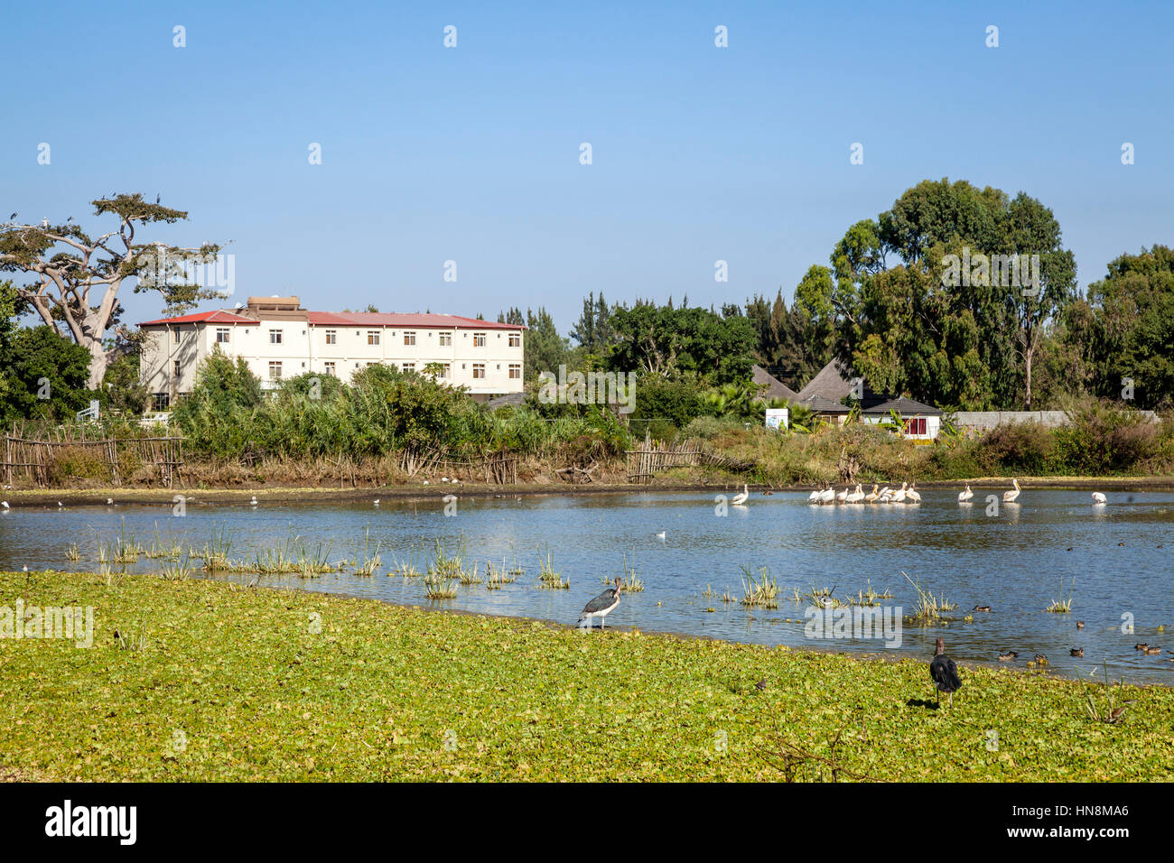 Haile Resort Hotel, Lake Ziway, Ethiopia Stock Photo - Alamy