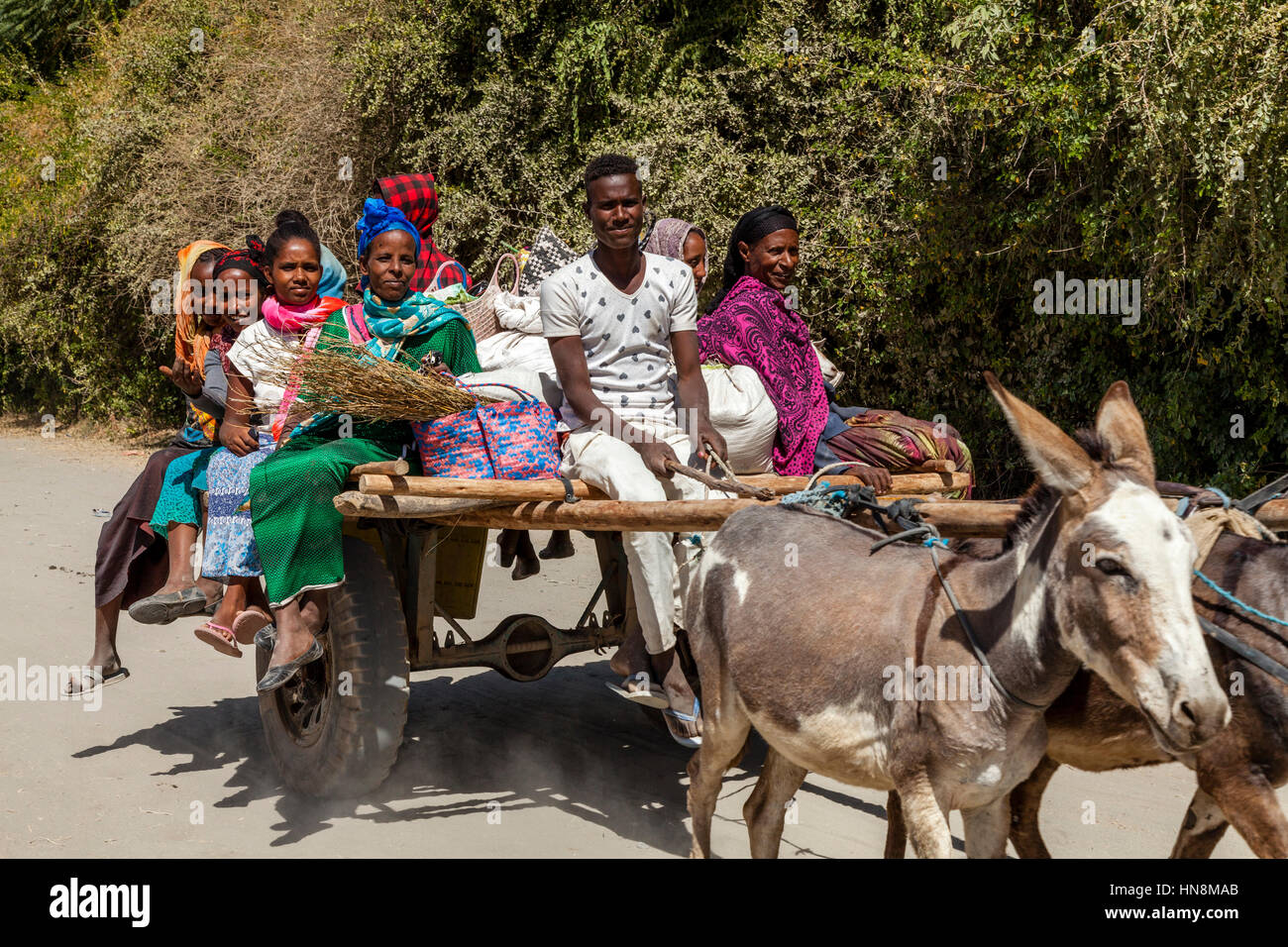 Donkey Carriage High Resolution Stock Photography and Images - Alamy