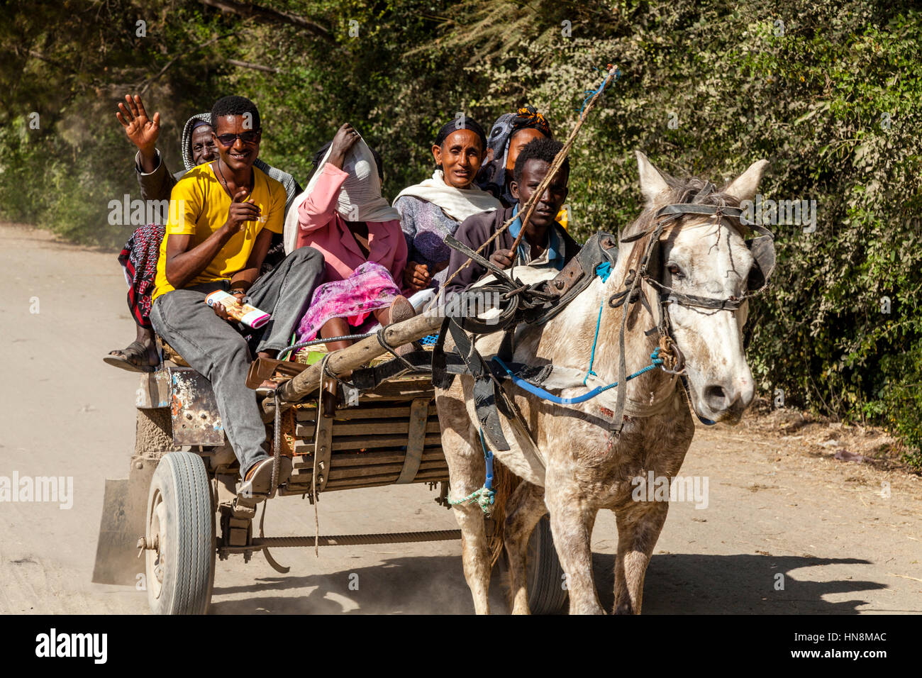 Examples Of Traditional Transportation at Anglea Ramos blog