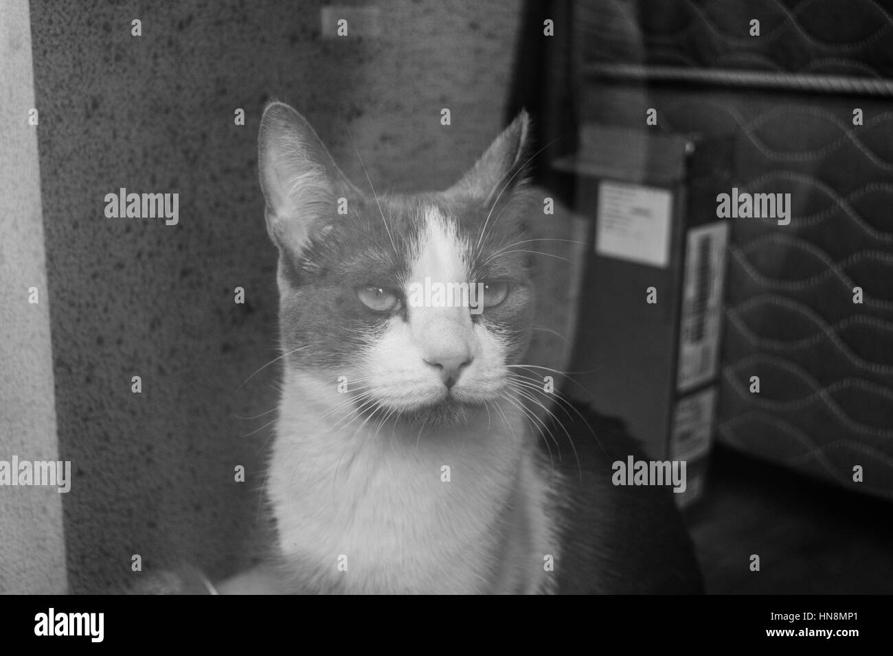 A beautiful home Black and White Stock Photos & Images - Alamy