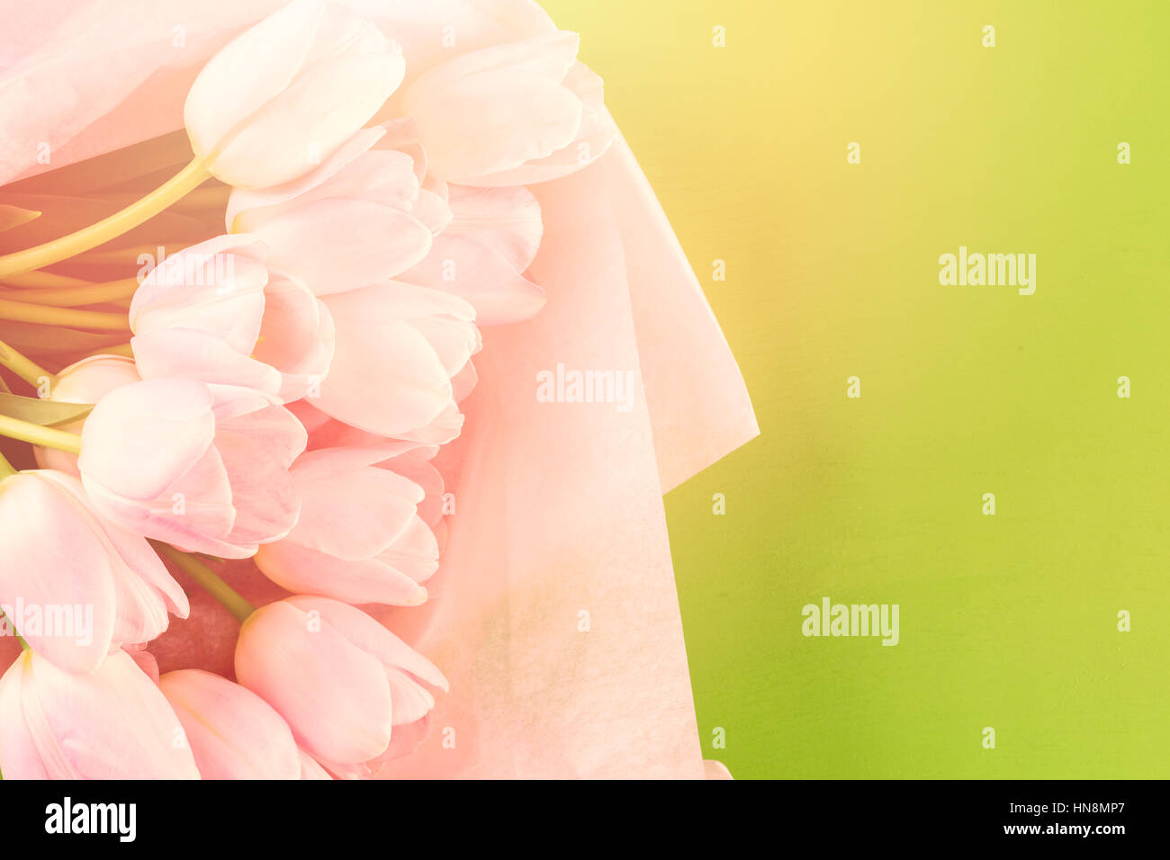 Bouquet of pink tulips wrappen in pink paper Stock Photo - Alamy
