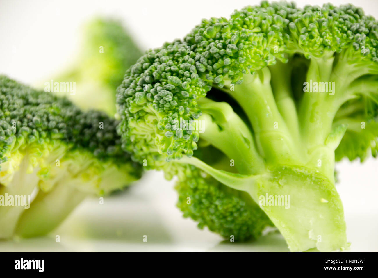 Photograph of broccoli on white background Stock Photo - Alamy