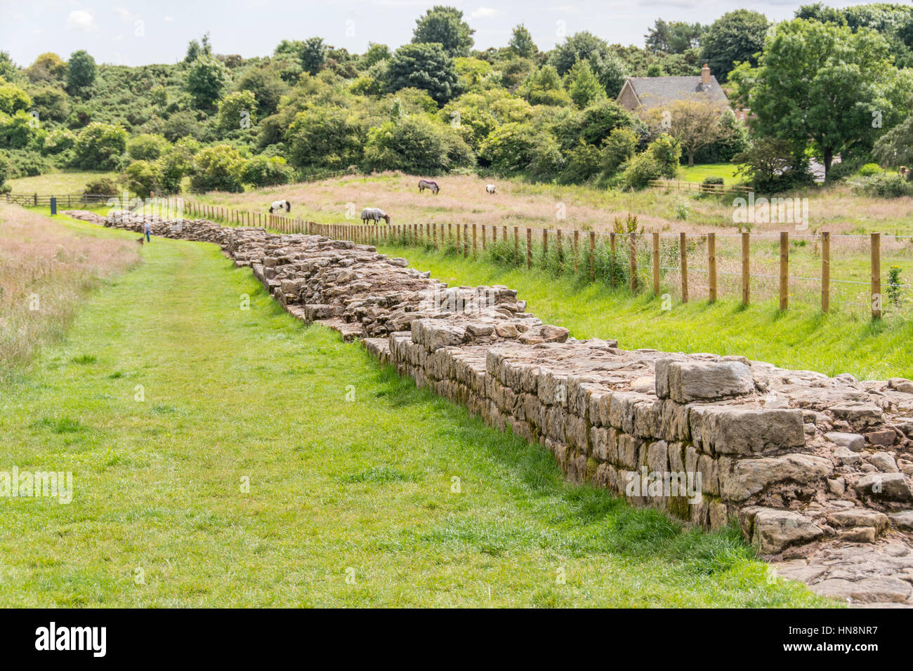 England, Yorkshire, Newcastle - Hadrian's Wall, also known as the Roman ...