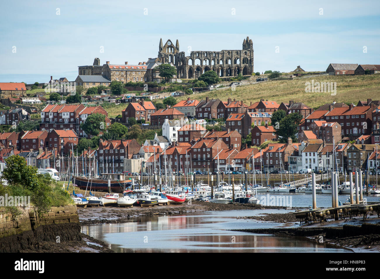 Ruswarp hi-res stock photography and images - Alamy