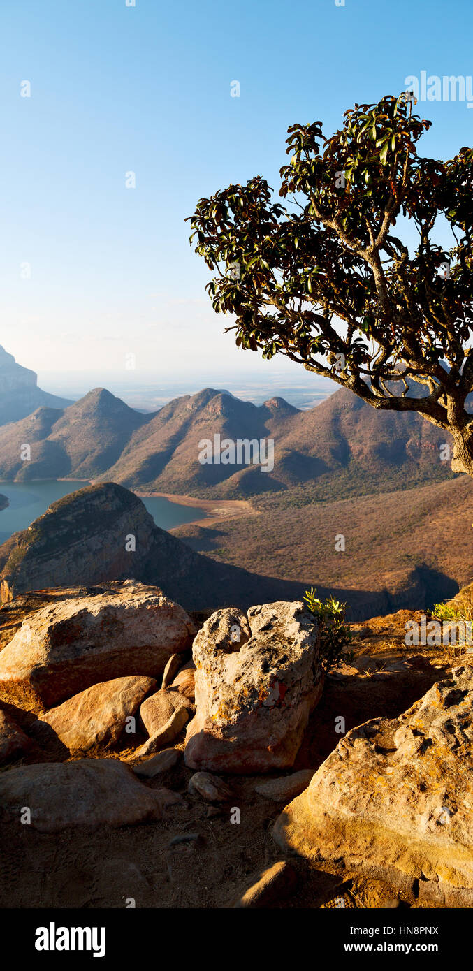 blur in swaziland mlilwane wildlife nature reserve mountain and tree ...