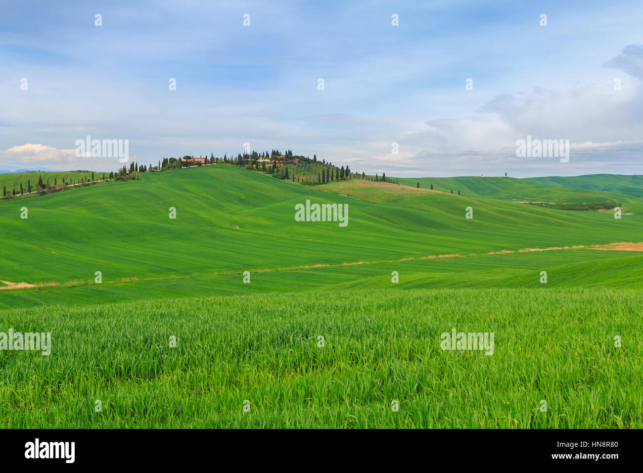 Typical Tuscany landscape springtime in Italy,Europe Stock Photo - Alamy