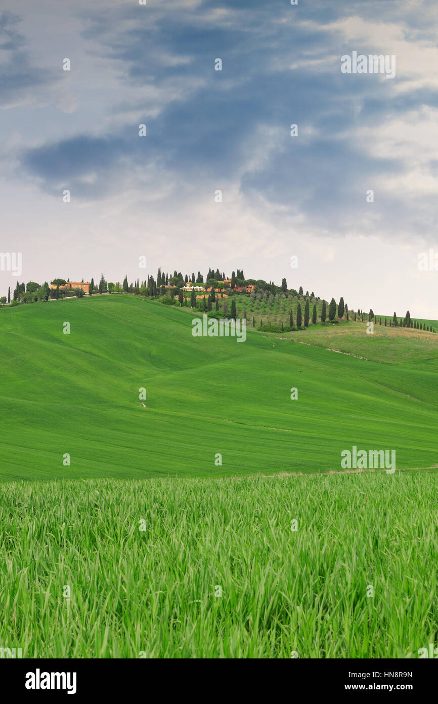 Typical Tuscany landscape springtime in Italy,Europe Stock Photo - Alamy