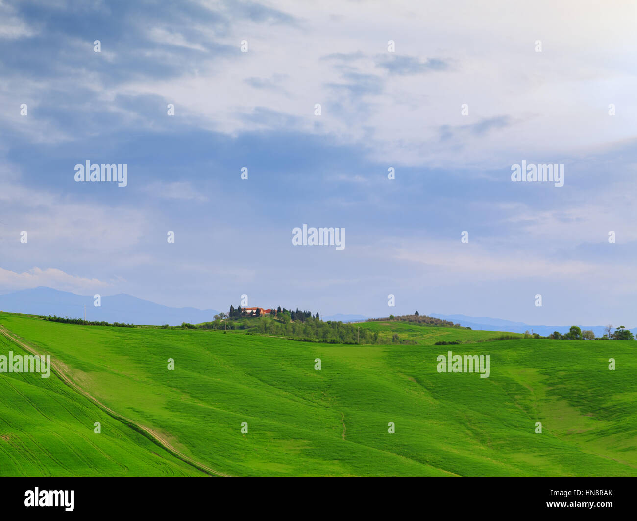 Typical Tuscany landscape springtime in Italy,Europe Stock Photo - Alamy