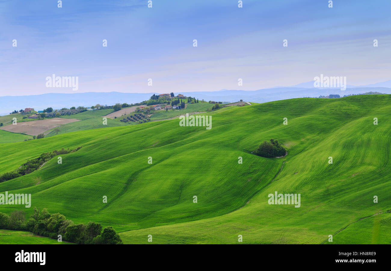 Typical Tuscany landscape springtime in Italy,Europe Stock Photo - Alamy