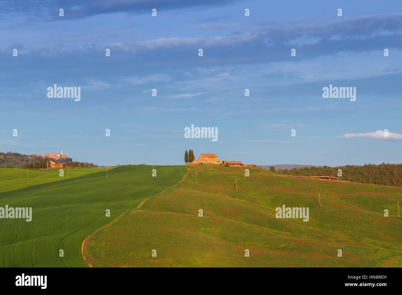 Typical Tuscany landscape springtime in Italy,Europe Stock Photo - Alamy