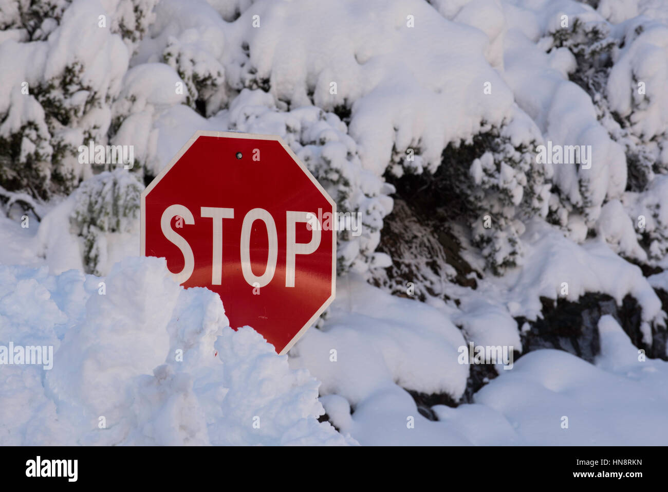 Stop sign in snow hi-res stock photography and images - Alamy