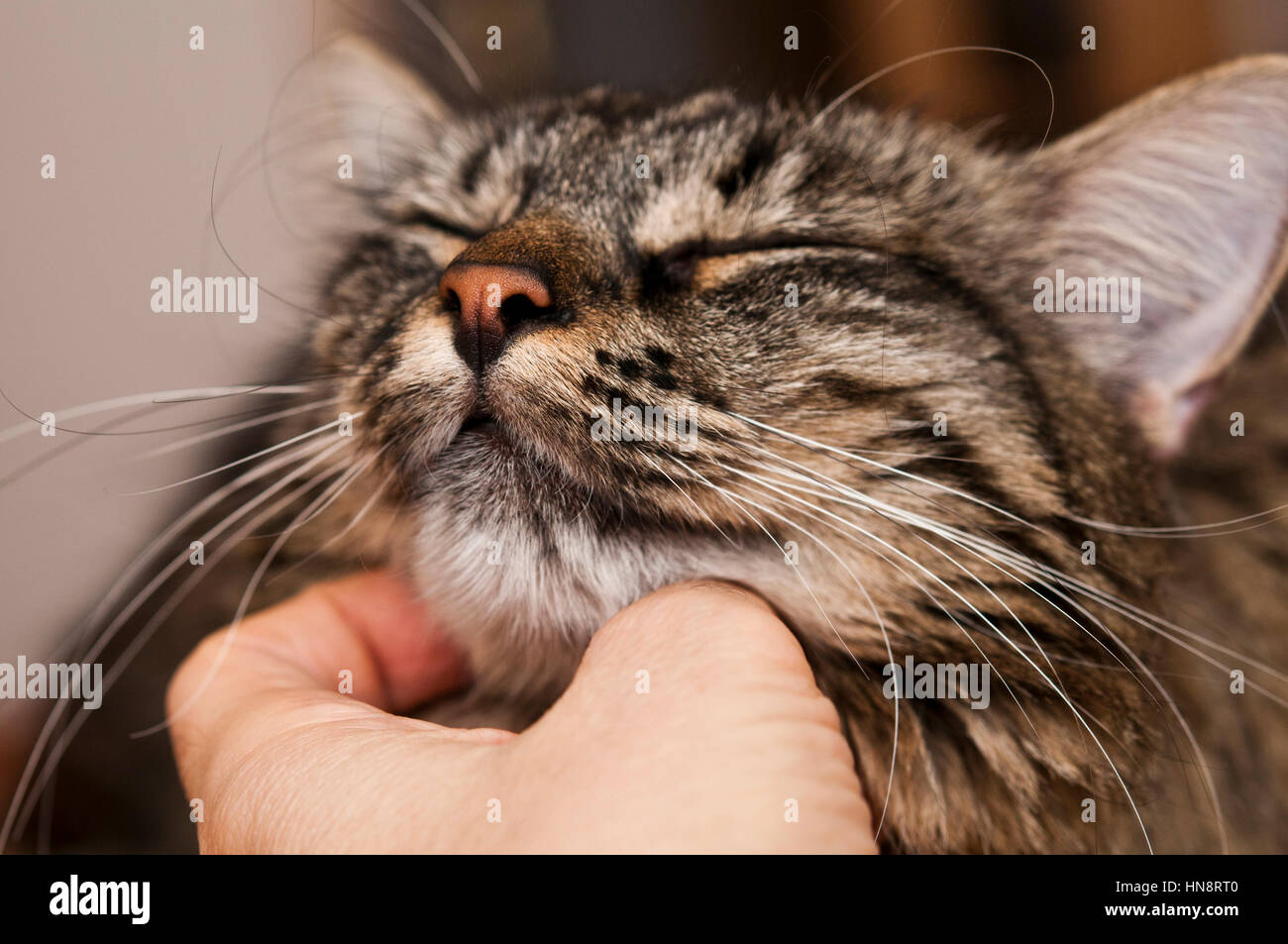 Caressing hi-res stock photography and images - Alamy
