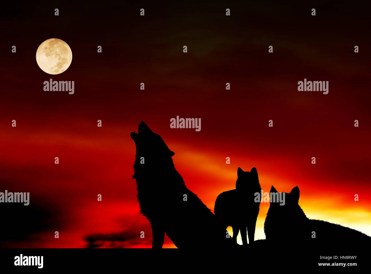 Wolves howling moon hi-res stock photography and images - Alamy