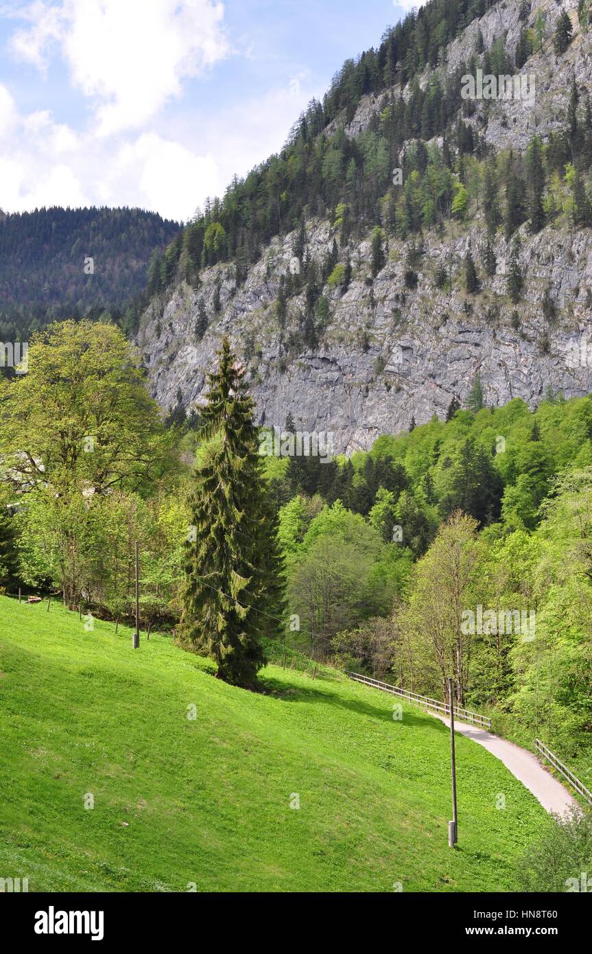 Plant tress hi-res stock photography and images - Alamy