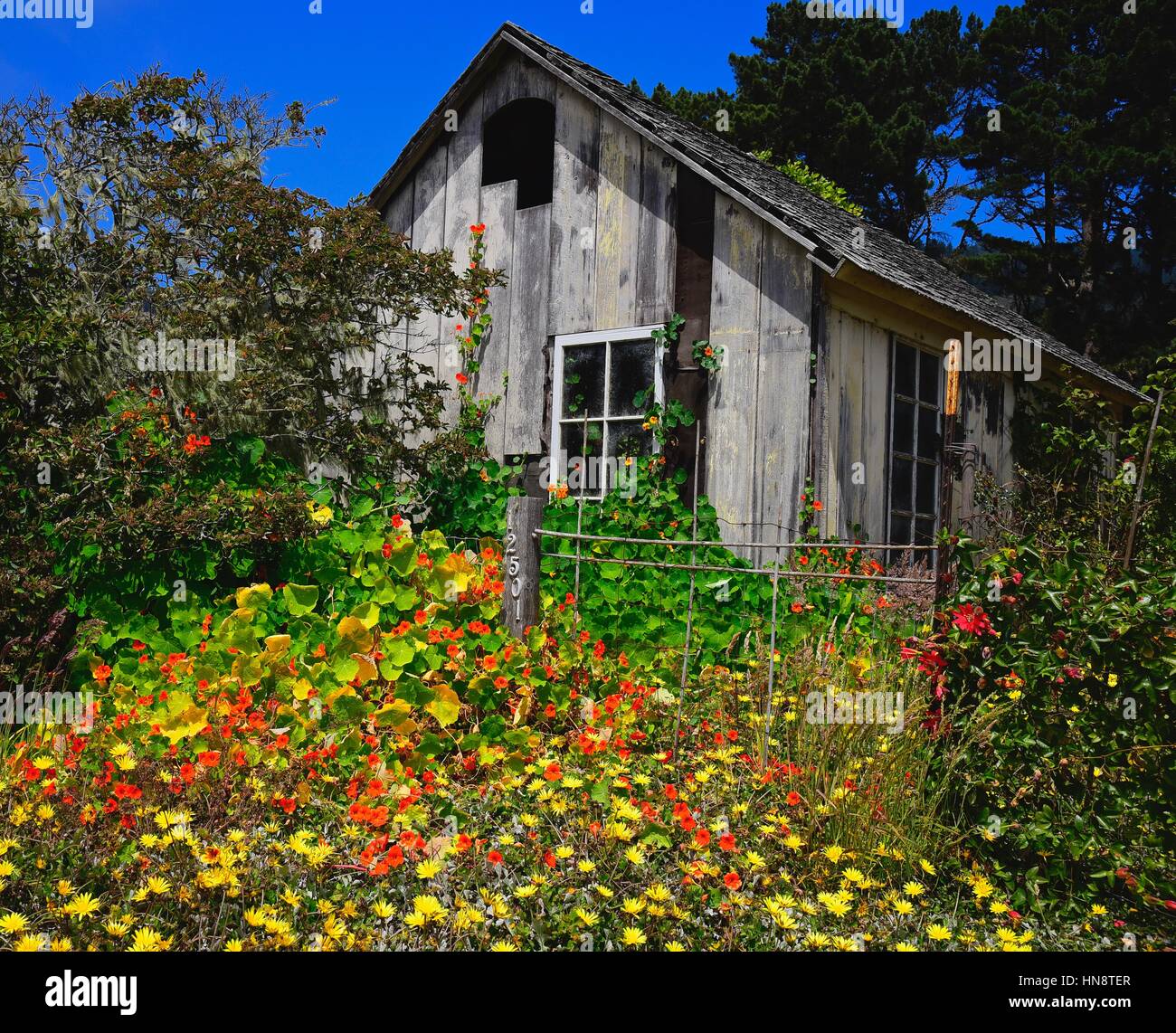 Rustic cabin surrounded by colorful flowers Stock Photo - Alamy