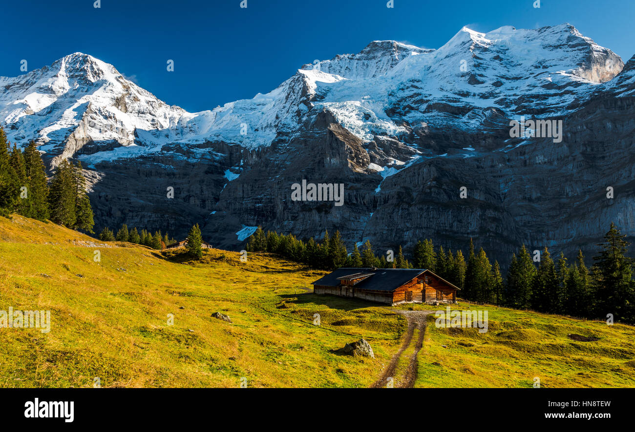Swiss Mountain hut high in the Alps Stock Photo - Alamy