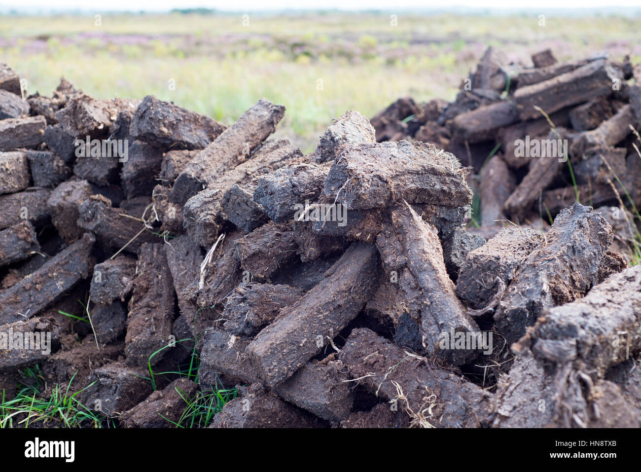 turf stacked up for the bog winds to dry in county kerry on the wild ...