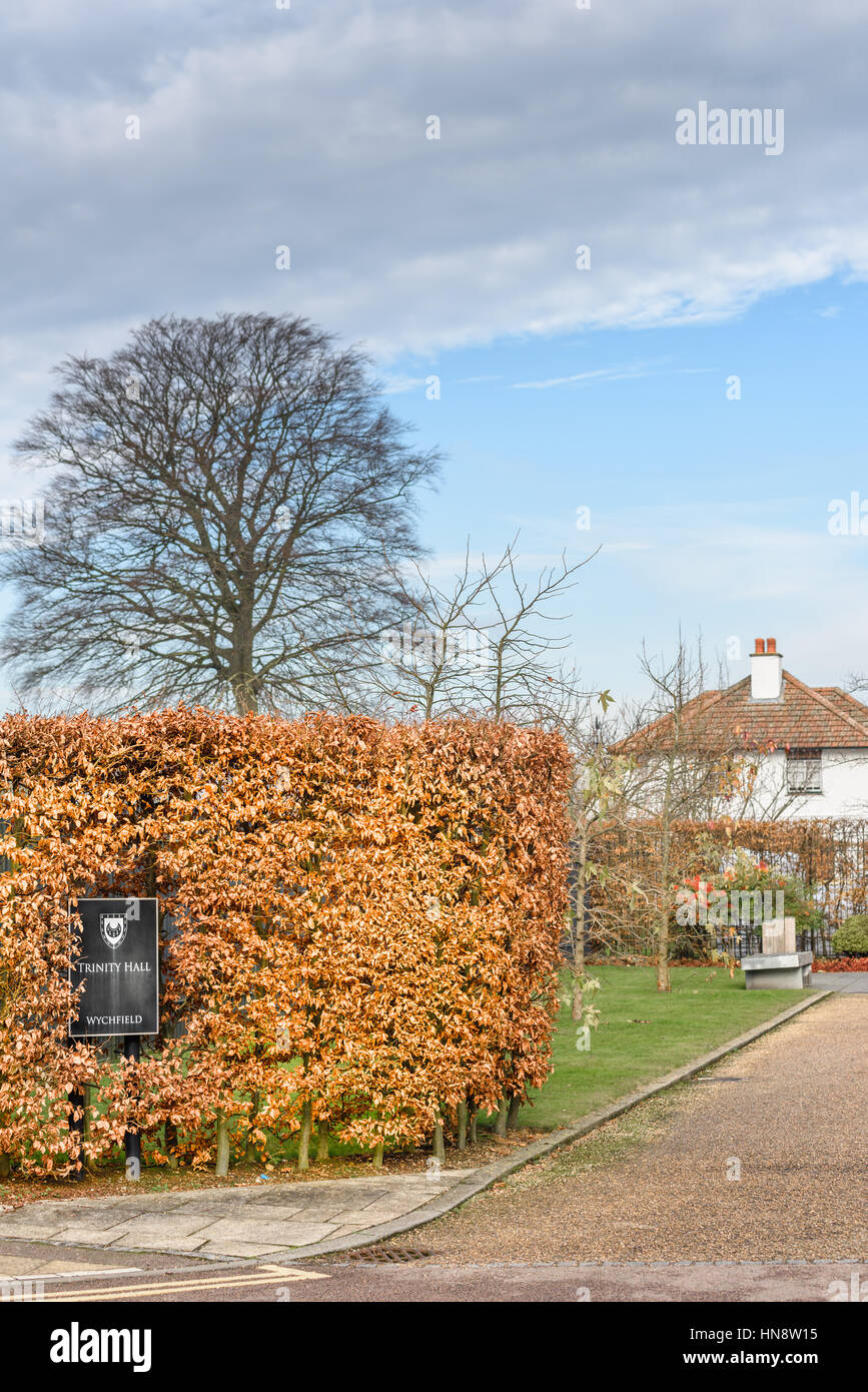 Trinity college sign hi-res stock photography and images - Alamy
